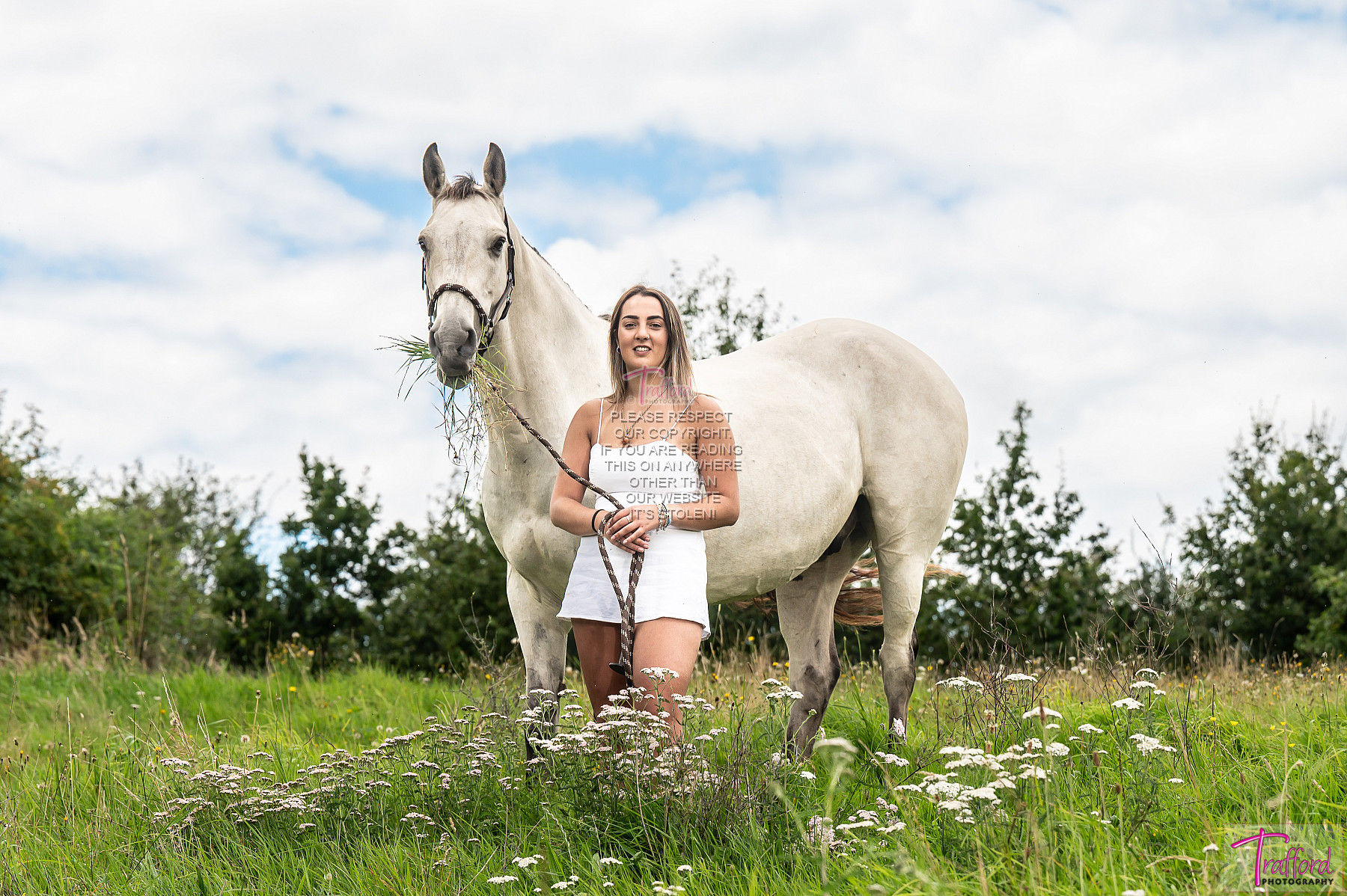 Trafford Photography - Lauren - Equine & Dog Portraits